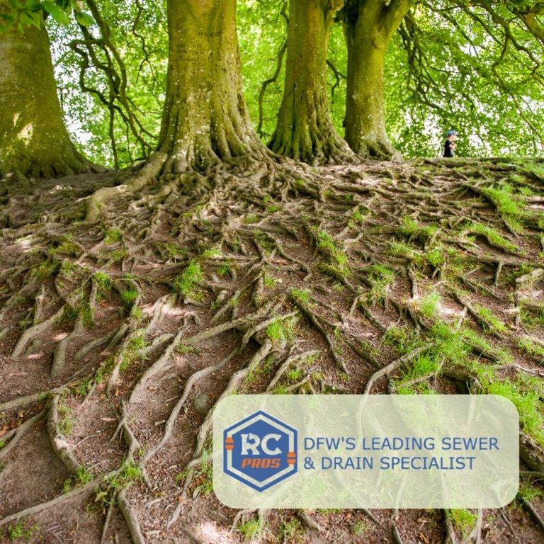 How to Clear Tree Roots in Sewer Line in Dallas - RC Pros